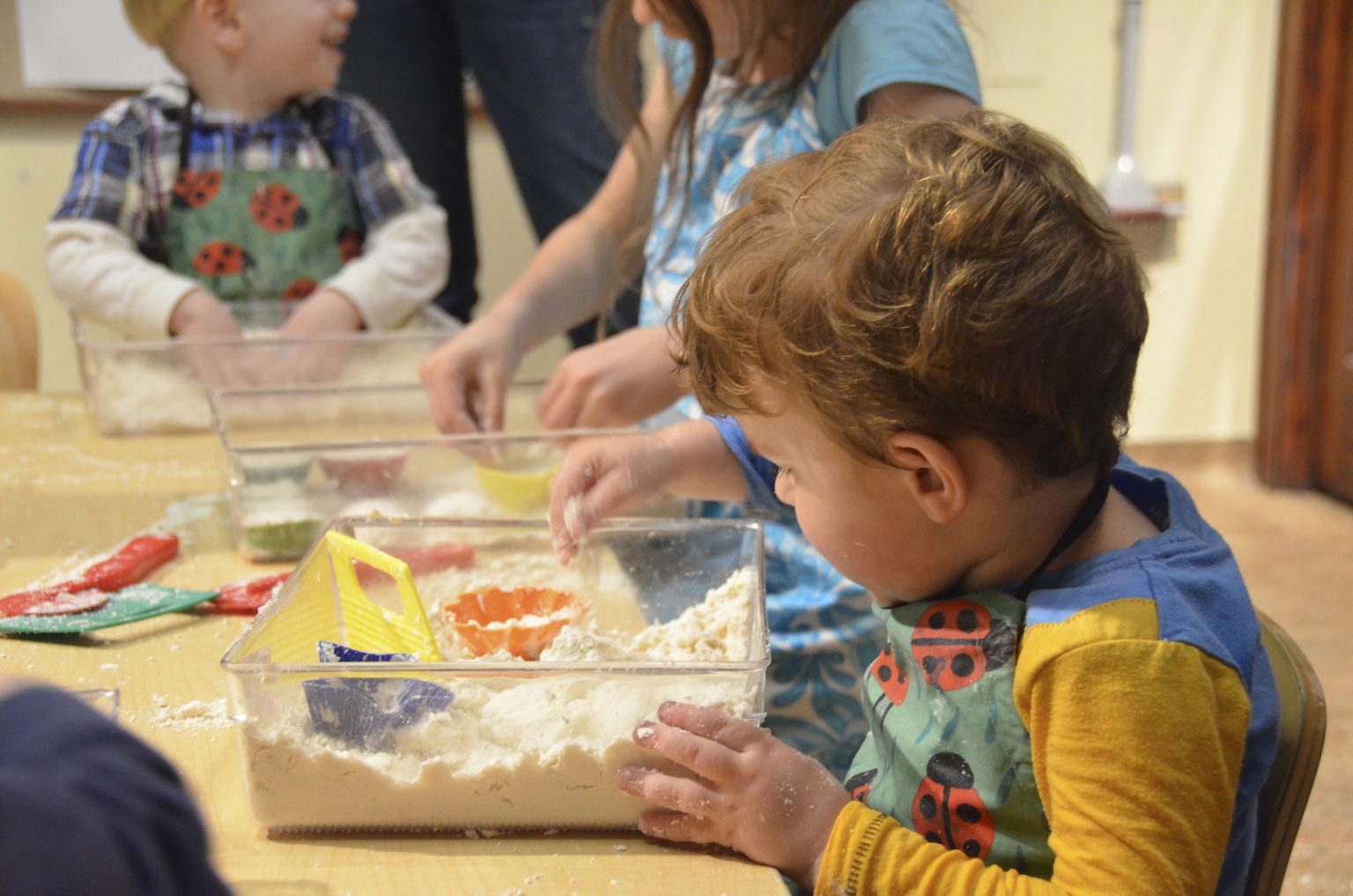 The Reggio Emilia Approach to Early Childhood Education
