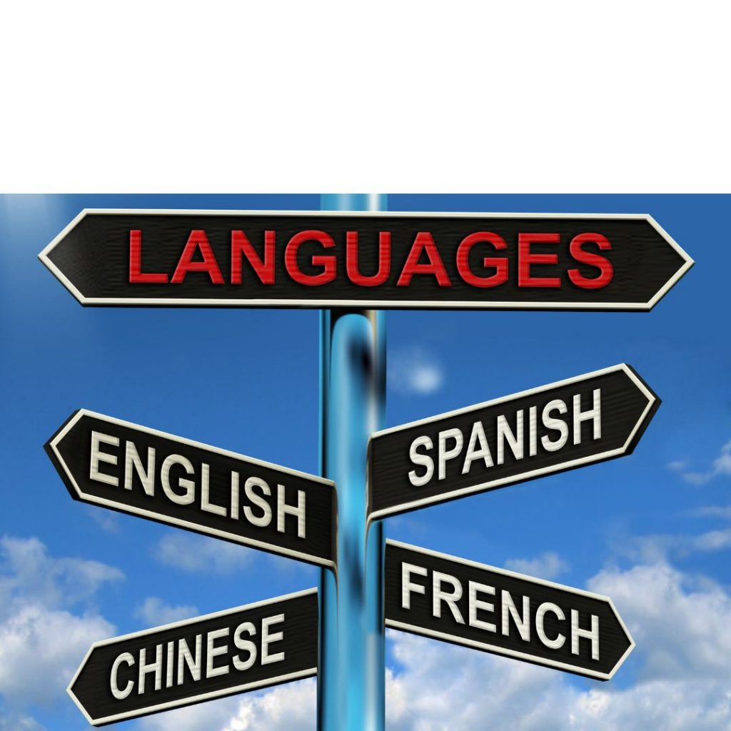 Receptive bilingualism 1 TeachingBrave receptive-bilingualism-1-teachingbrave