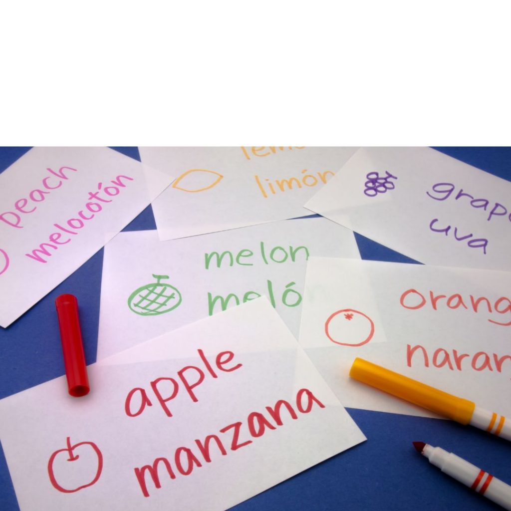Receptive-bilingualism-2 | TeachingBrave